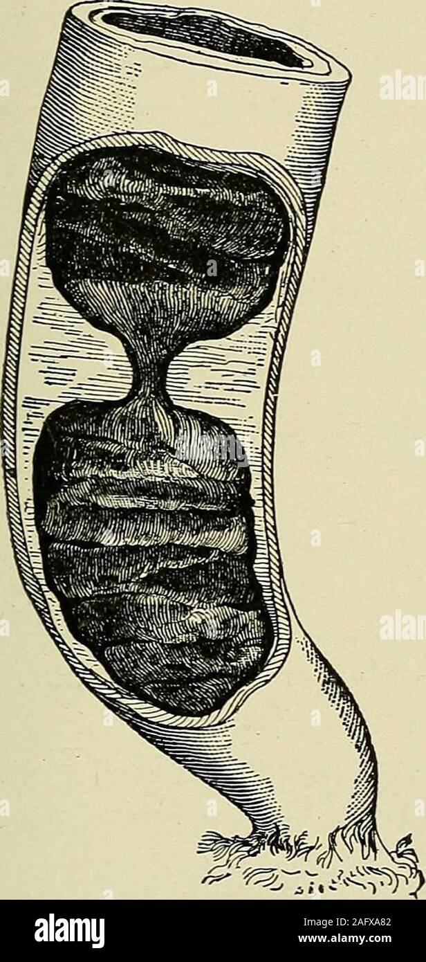 Ictures hi-res stock photography and images - Alamy