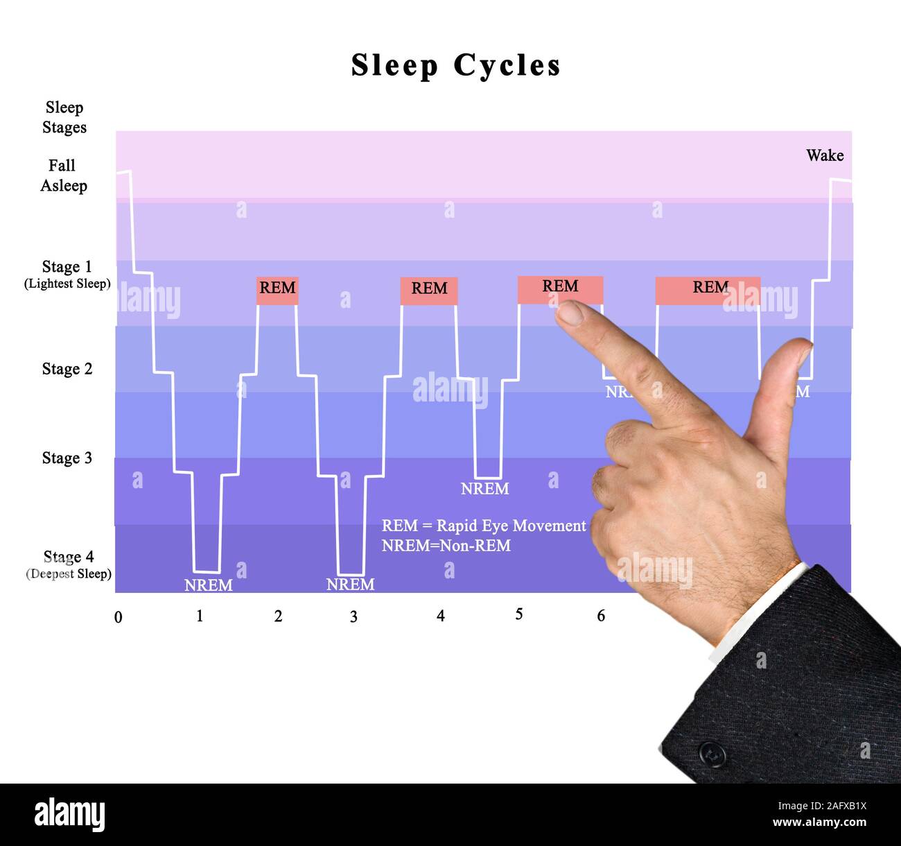 Cycles of sleep Stock Photo - Alamy