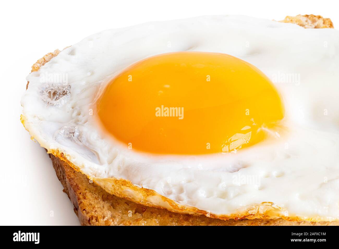 Closeup of single fried egg with crispy edges on wholewheat toast ...