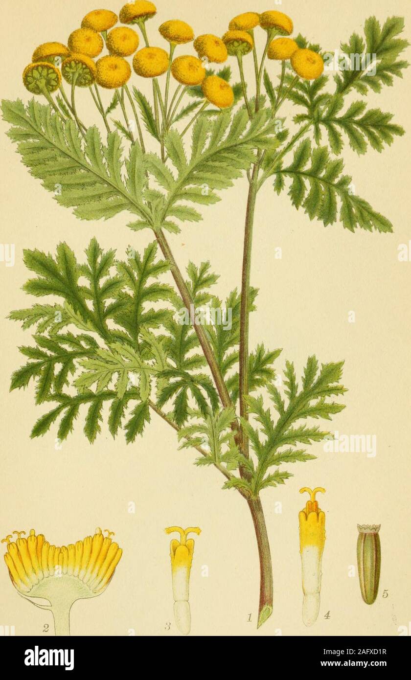 Nyse rollike hi-res stock photography and images - Alamy