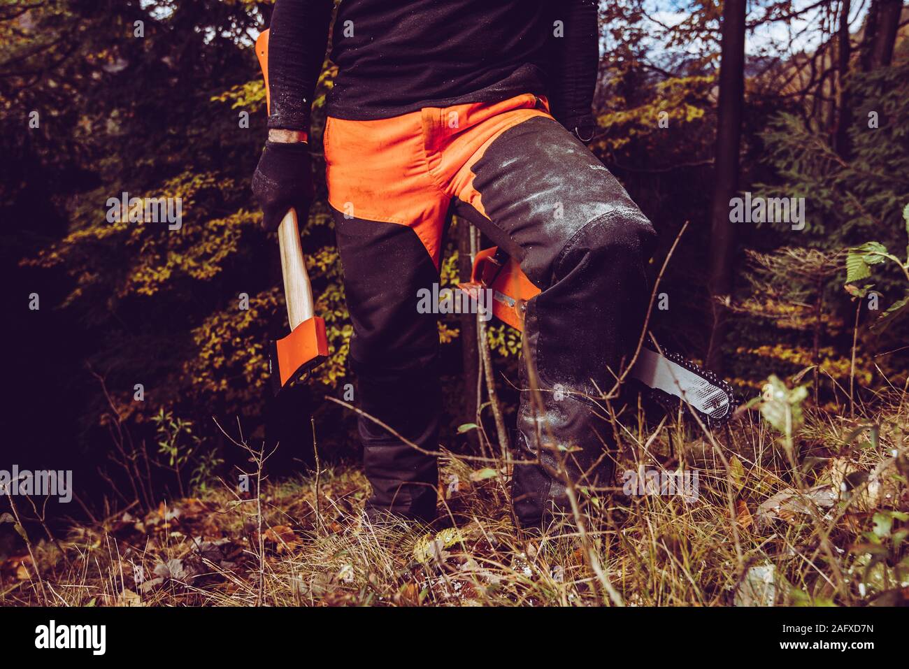 woodcutter man in the forest - the woodcutter serie Stock Photo - Alamy