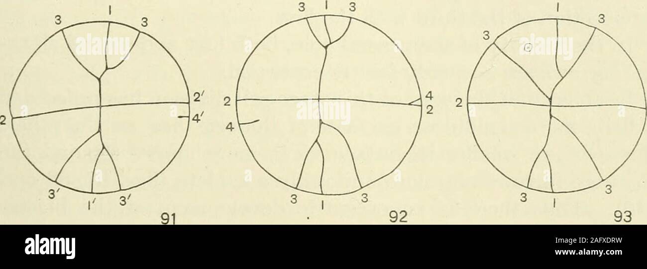 Alternation symmetry hi-res stock photography and images - Alamy
