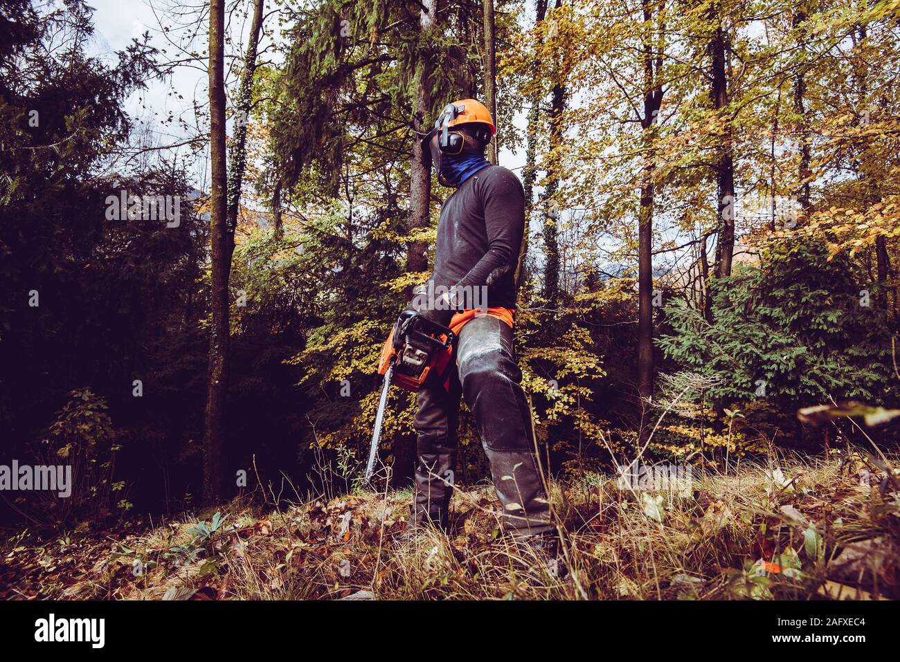 woodcutter man in the forest - the woodcutter serie Stock Photo - Alamy