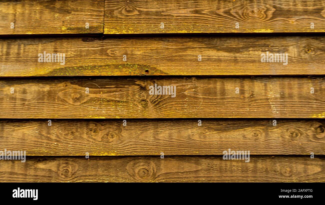Colorful wood backgrounds in different colors and styles Stock Photo ...