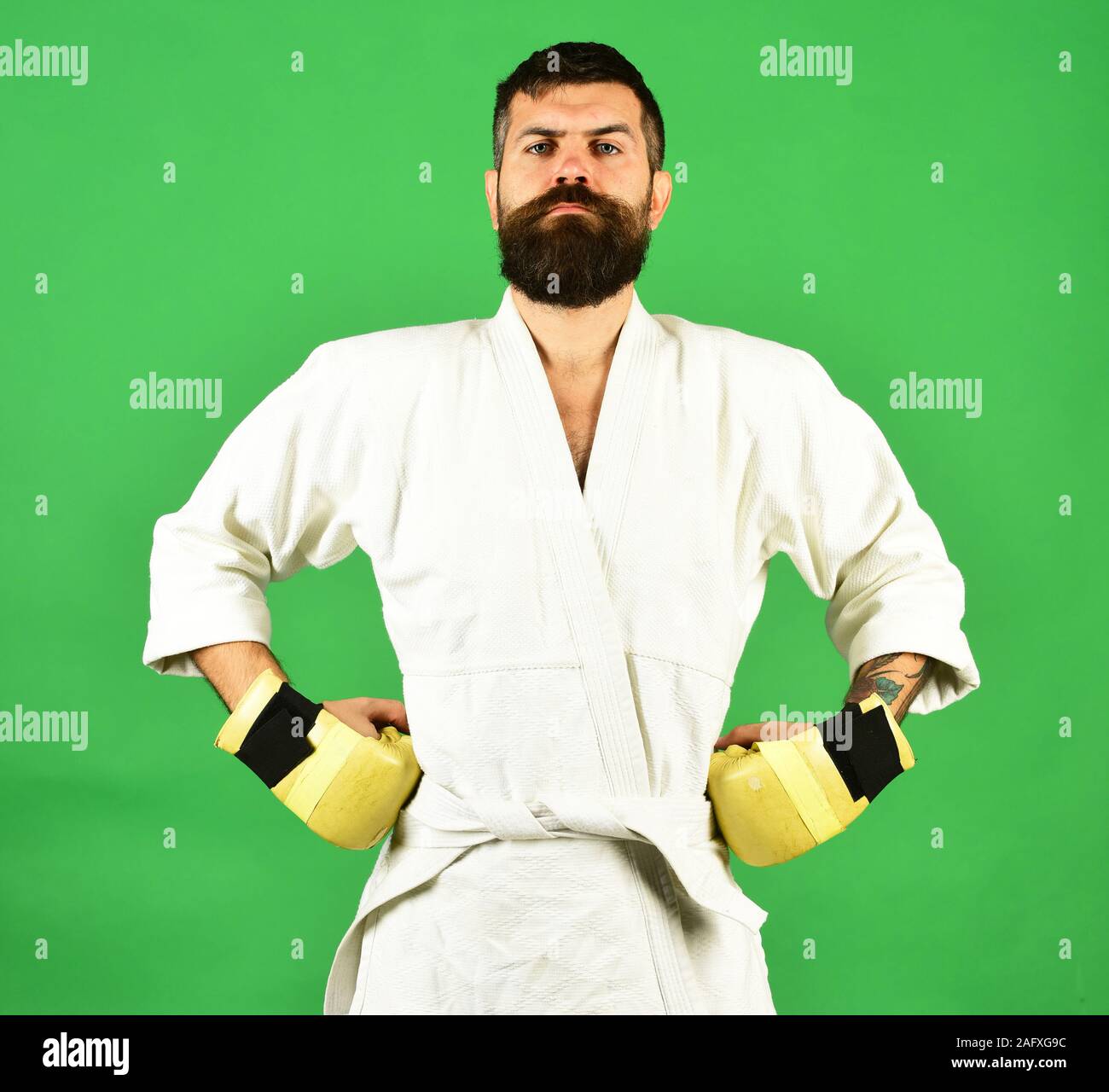 Combat master poses demonstrating muscles and strength. Man with beard ...