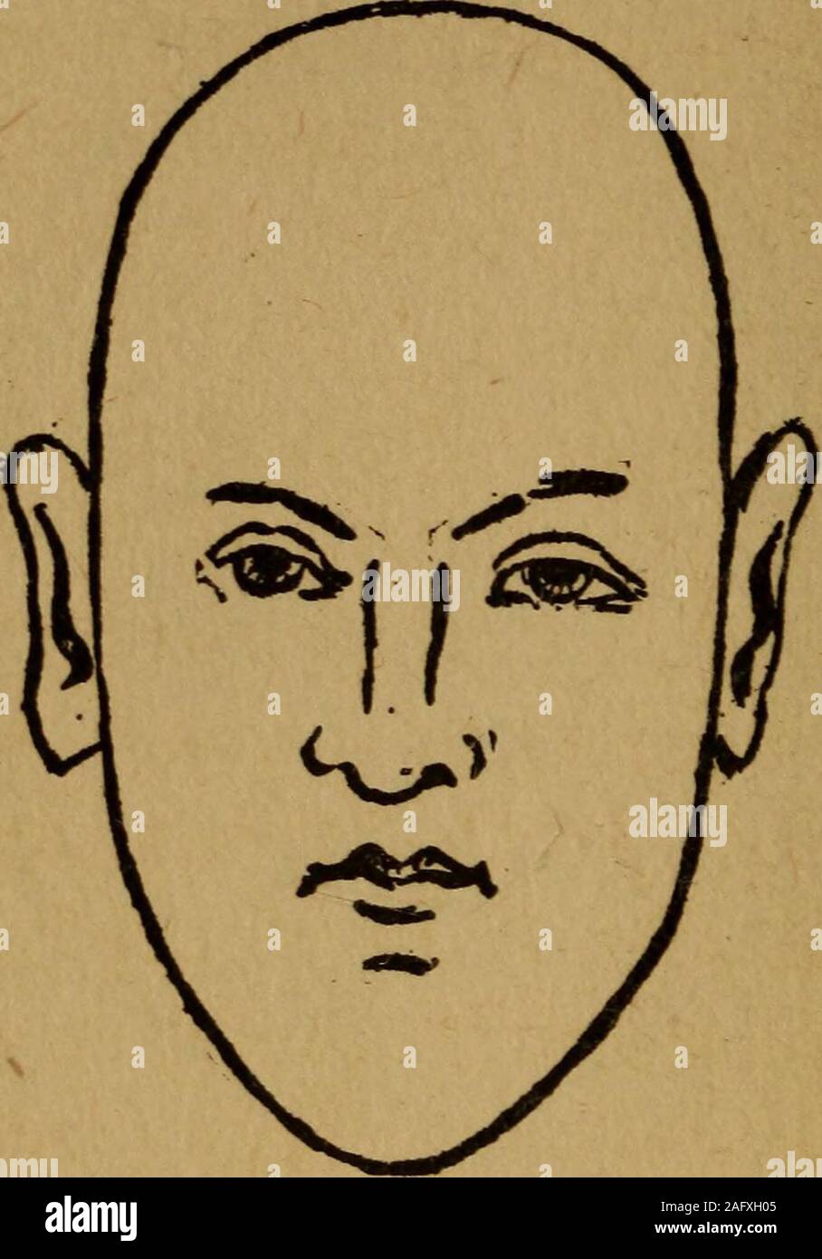 Animals with human qualities hi-res stock photography and images - Alamy