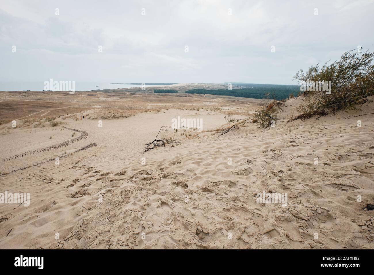 The Landscape of Parnidis Dune in The Curonian Spit, Nida, Lituania ...