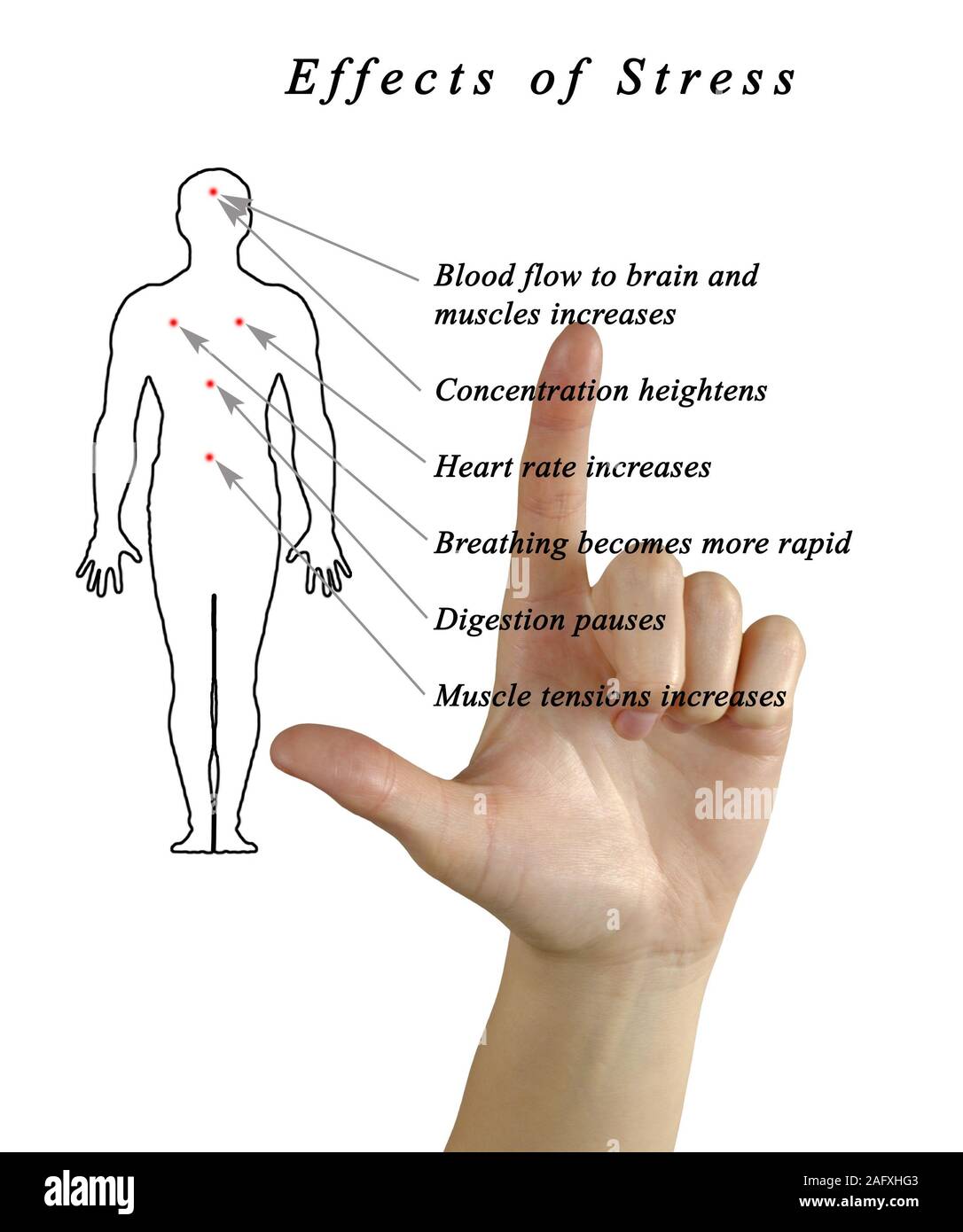 Stress & Body Stock Photo - Alamy