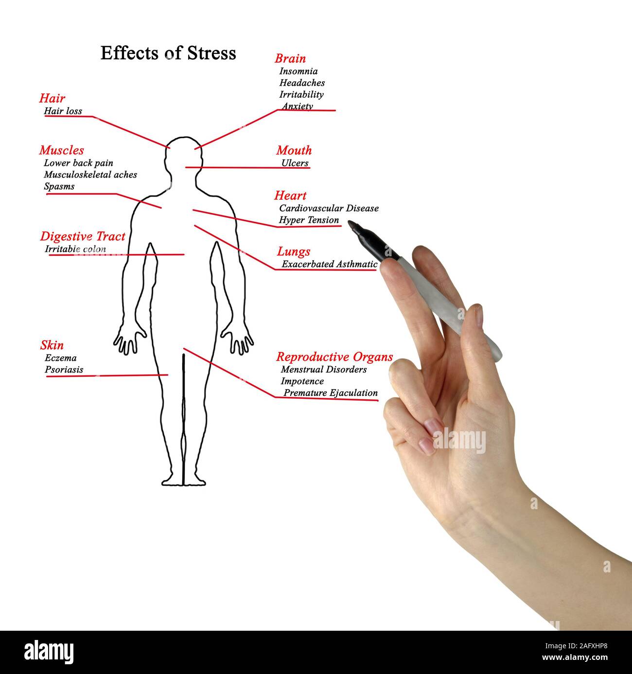Effects of Stress Stock Photo - Alamy
