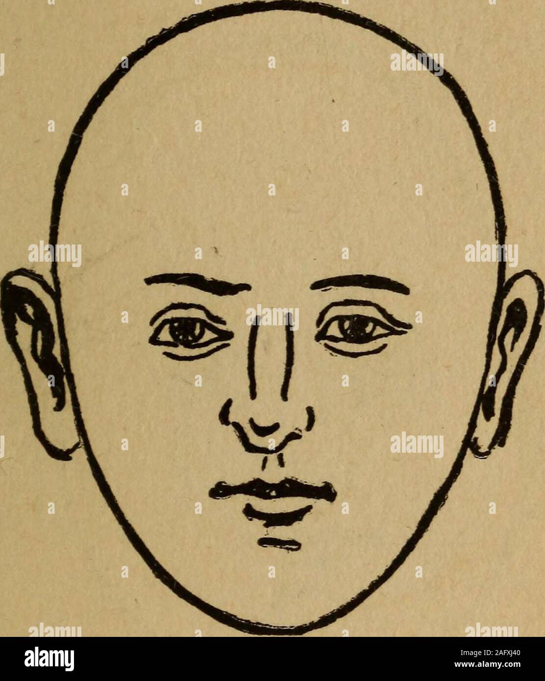 Square Shaped Things In Nature