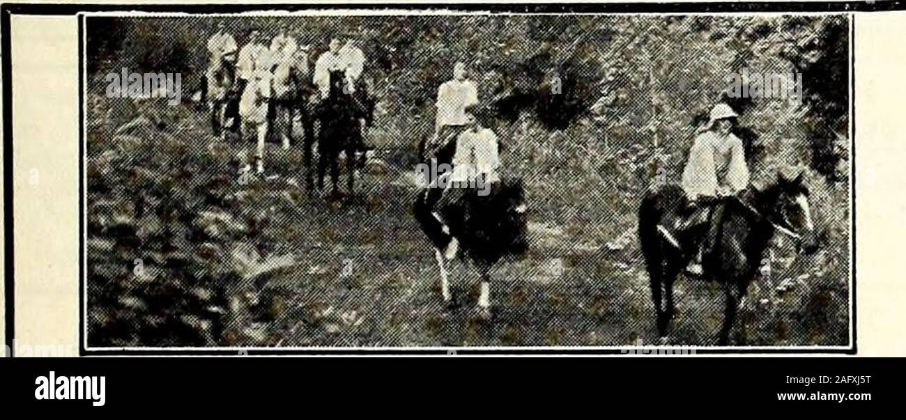 Virginia intermont hi-res stock photography and images - Alamy