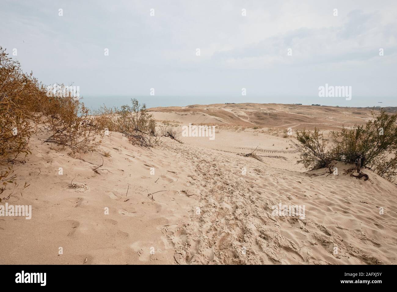 The Landscape of Parnidis Dune in The Curonian Spit, Nida, Lituania ...