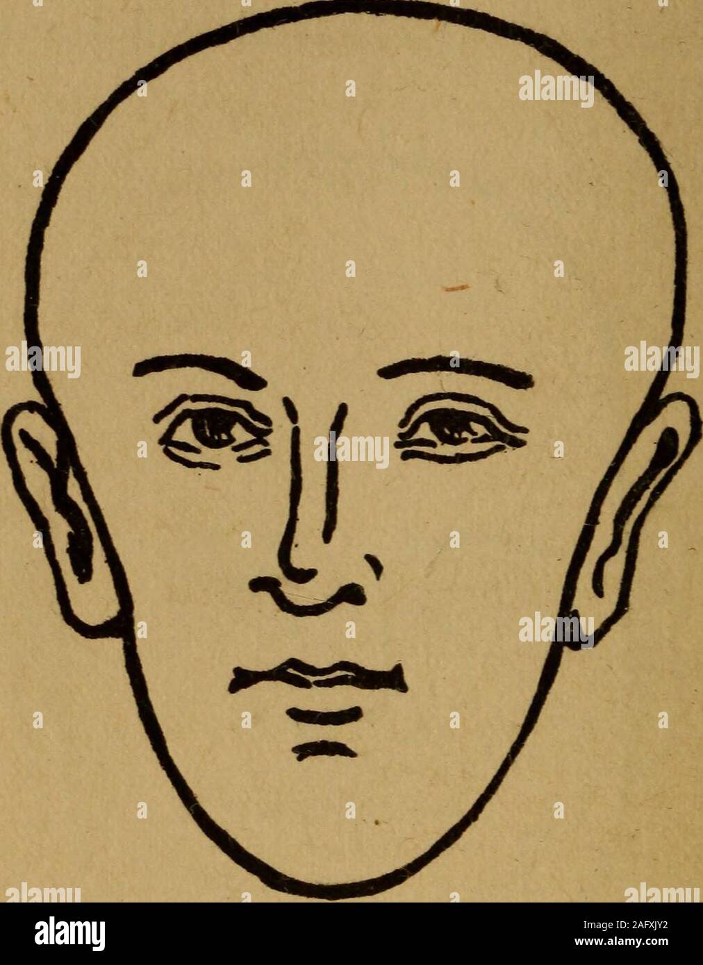 Plump forms hi-res stock photography and images - Alamy