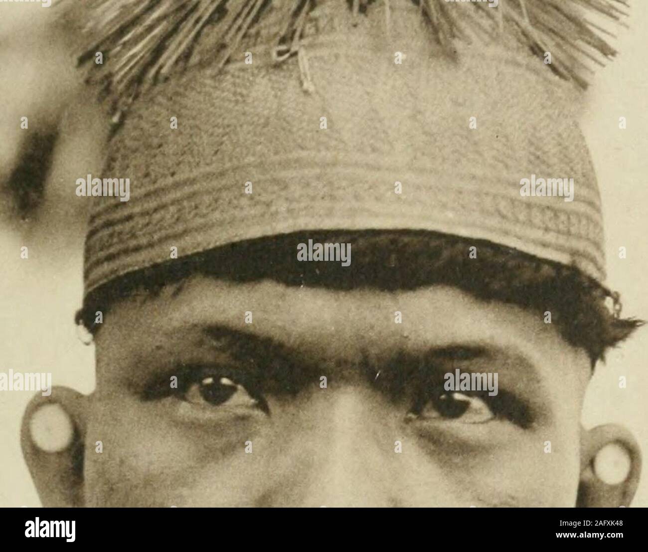 . The pagan tribes of Borneo; a description of their physical, moral ...