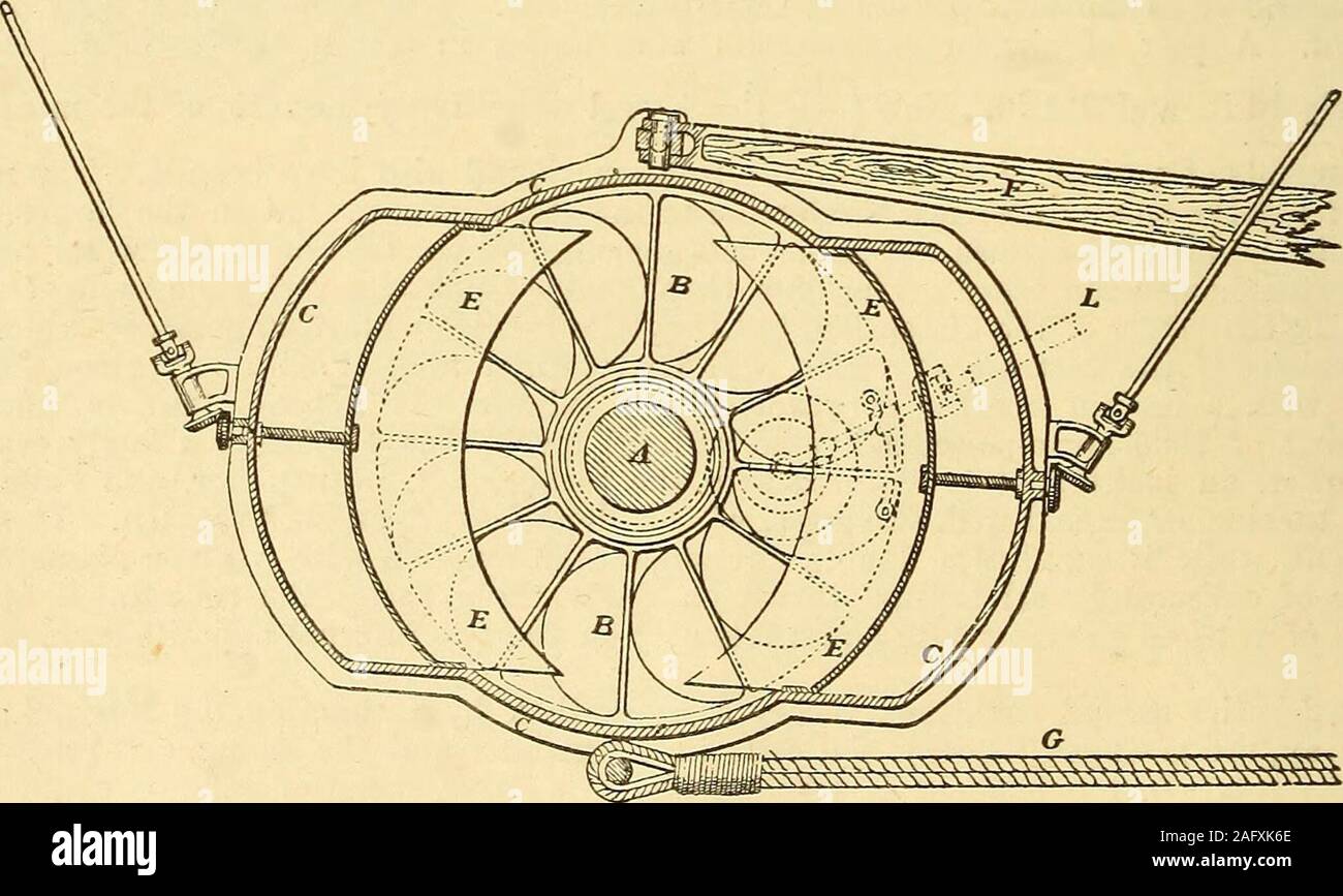 Collar internal hi-res stock photography and images - Alamy