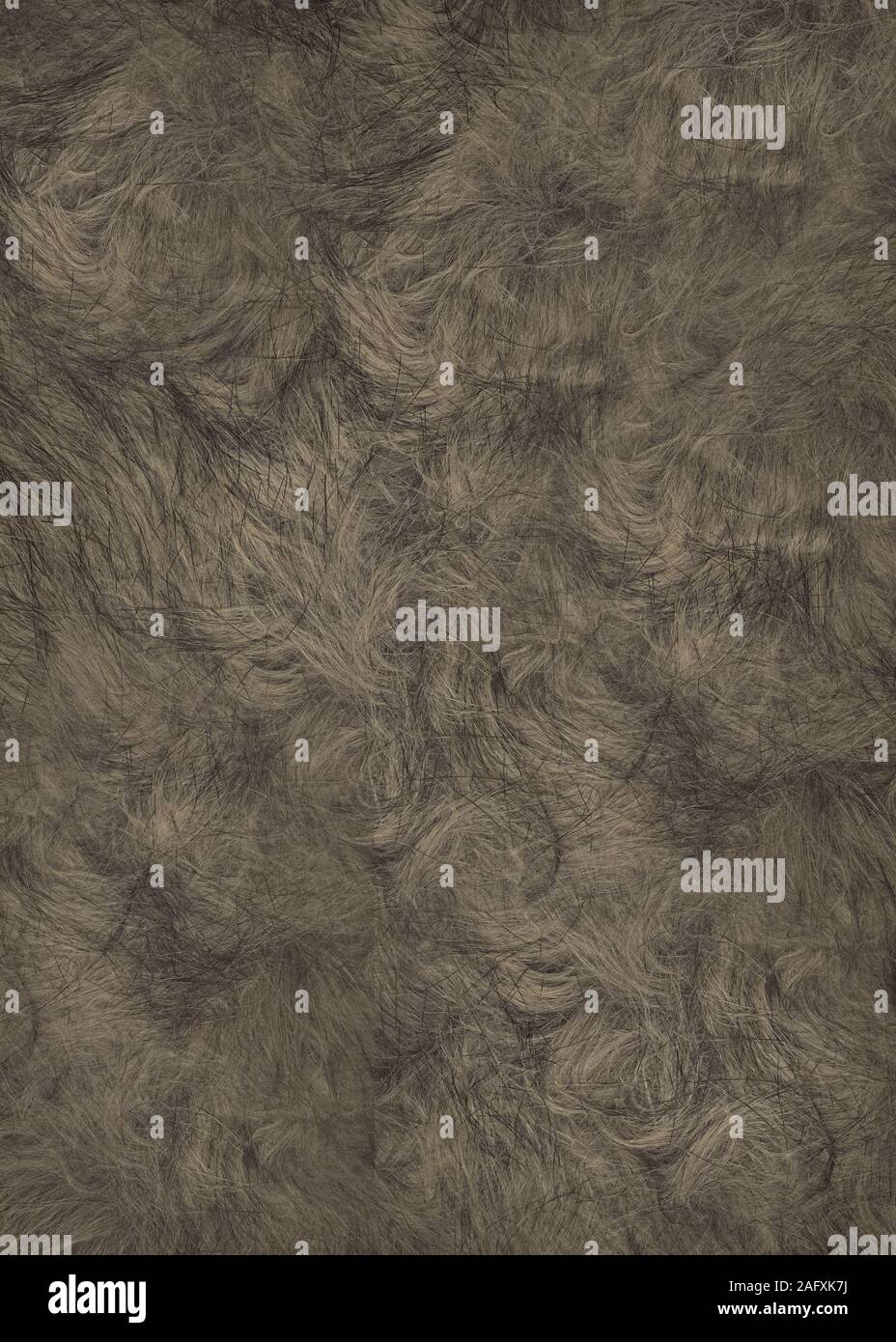 Short-haired gray pile on the skin of a wild animal.Texture or ...