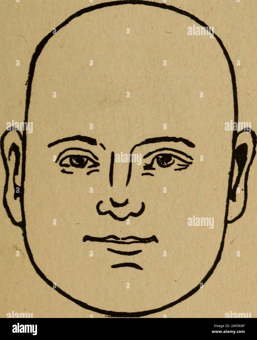 The pie chest hi-res stock photography and images - Alamy