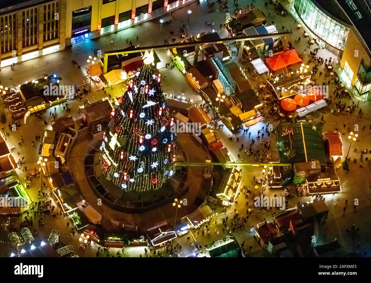 Largest tree in the world hi-res stock photography and images - Alamy