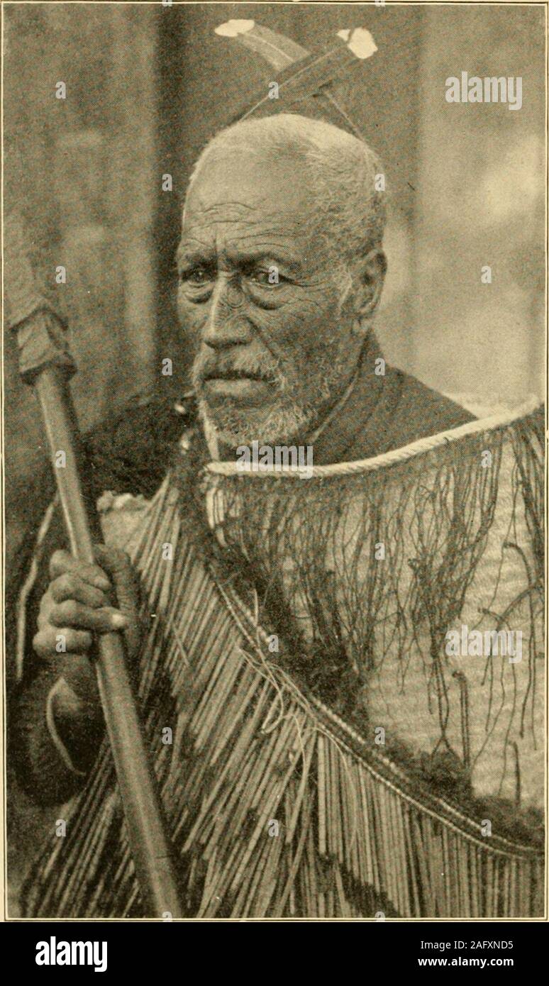 . The conversion of the Maoris. MAORI CHIEF, PATARANGIKAI. The ...