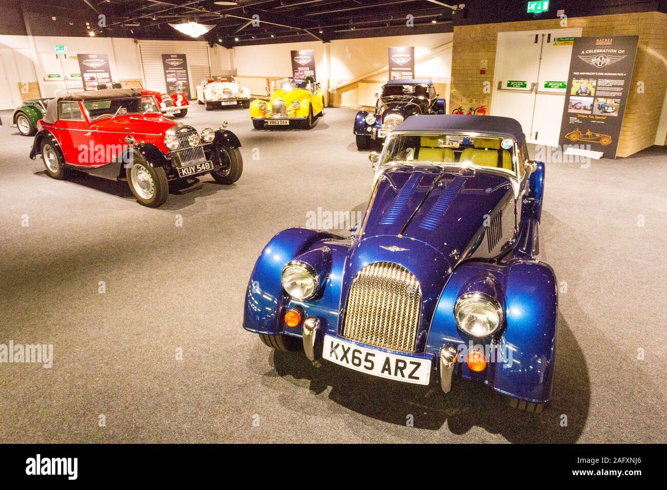 A rare collection of various colourful models of Morgans in the ...