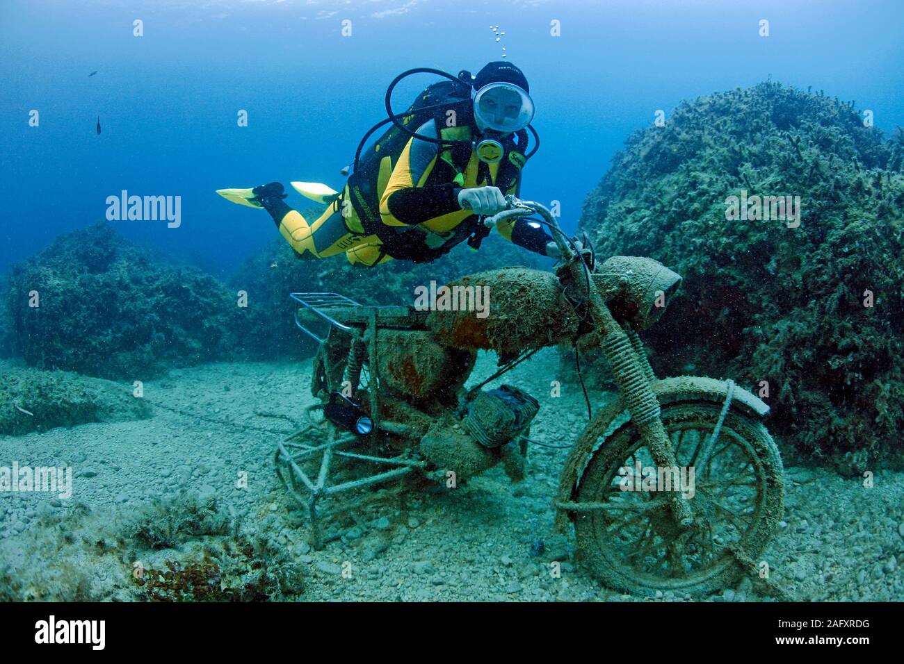 Meeresgrund hi-res stock photography and images - Alamy