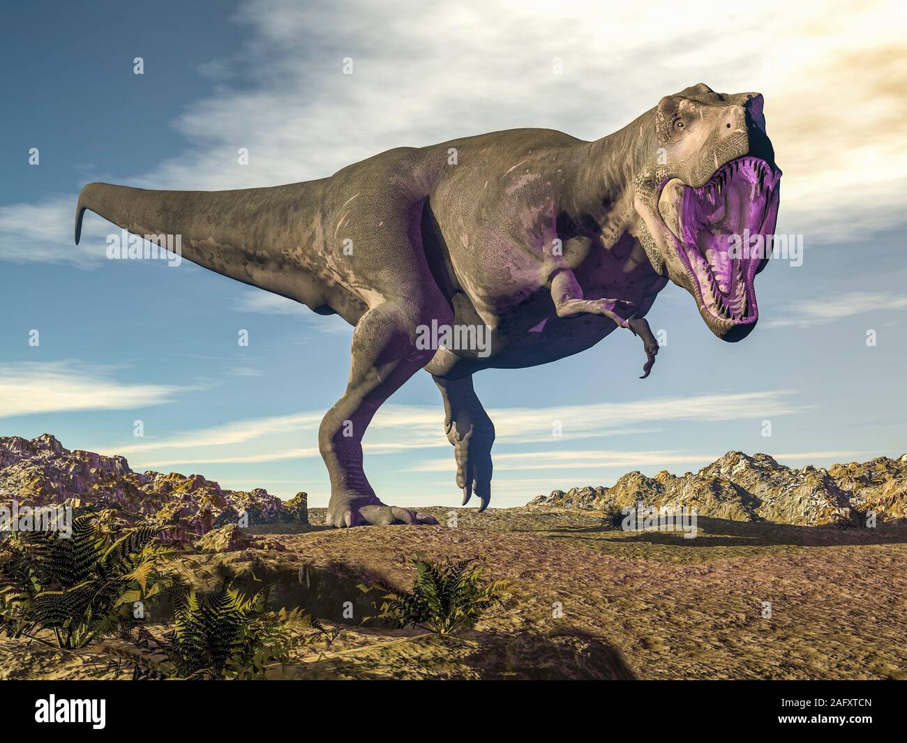 Tyrannosaurus rex roaring in the desert - 3D render Stock Photo - Alamy