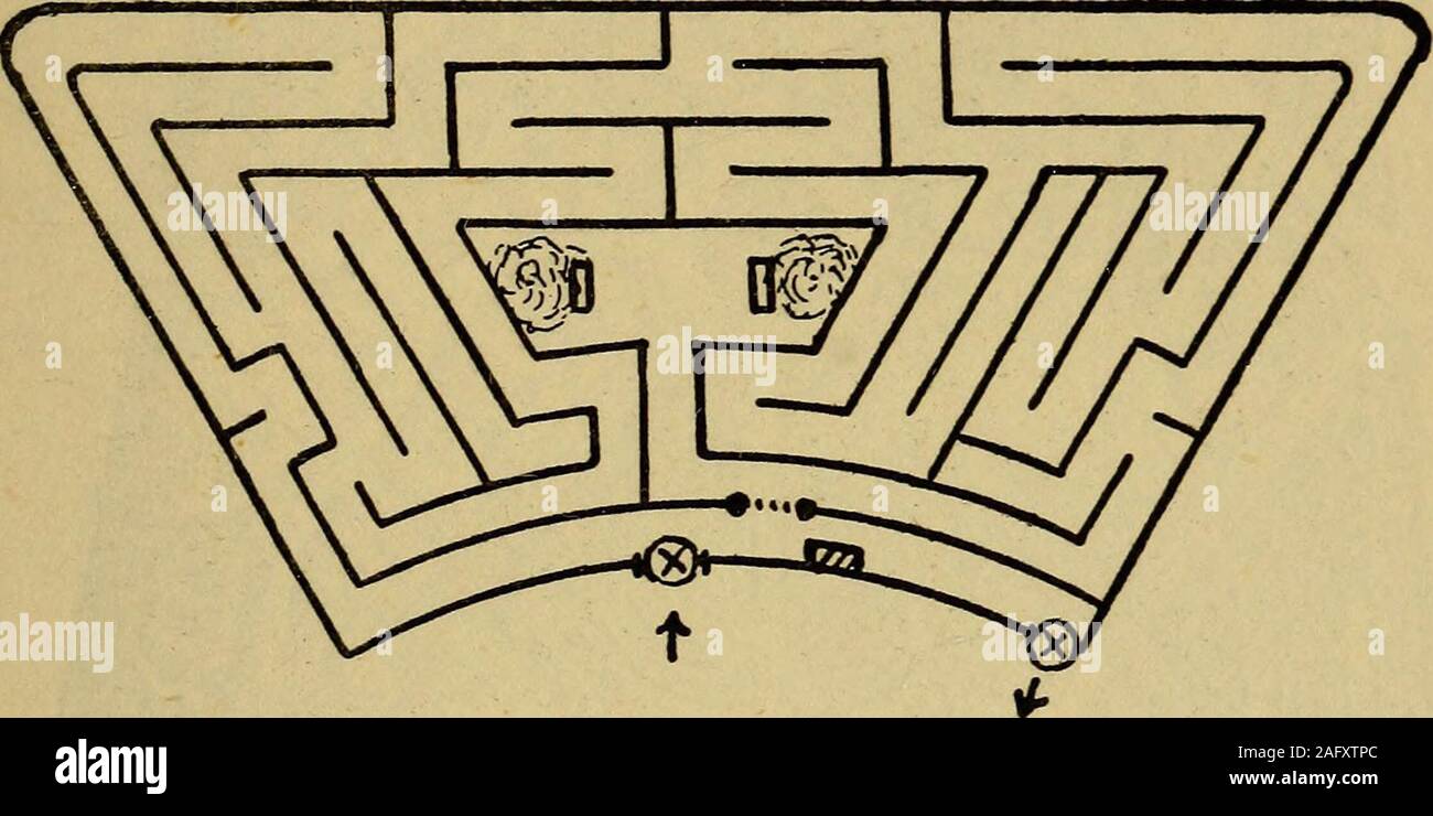 . Mazes and labyrinths; a general account of their history and ...