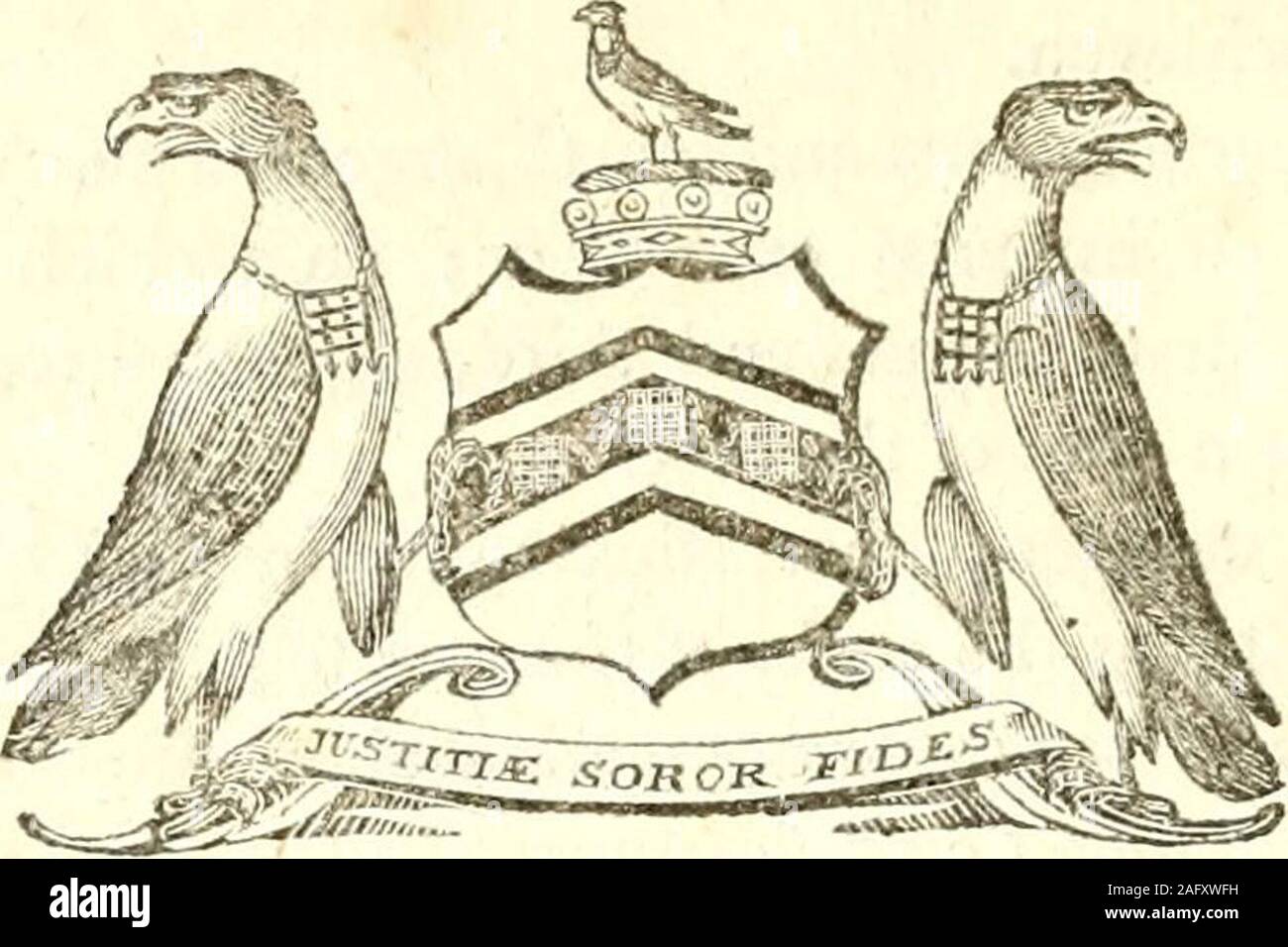 Laurel oak tree hi-res stock photography and images - Alamy