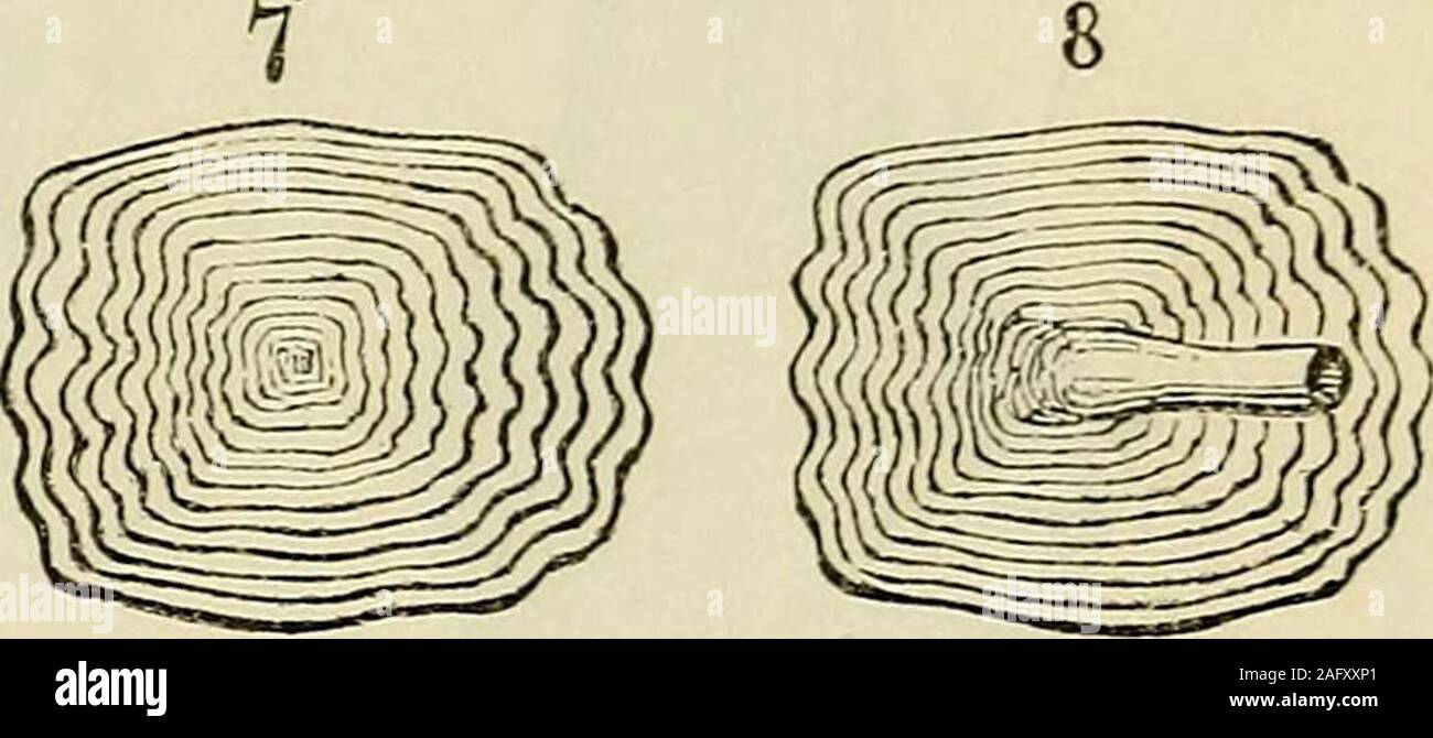 Cycloid High Resolution Stock Photography and Images - Alamy