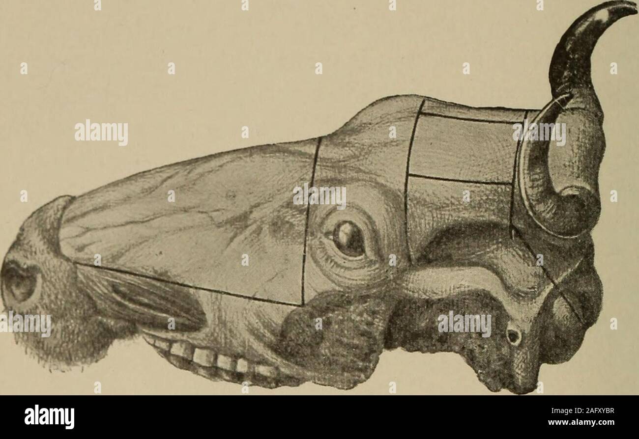 . Post-mortem pathology; a manual of post-mortem examinations and the ...