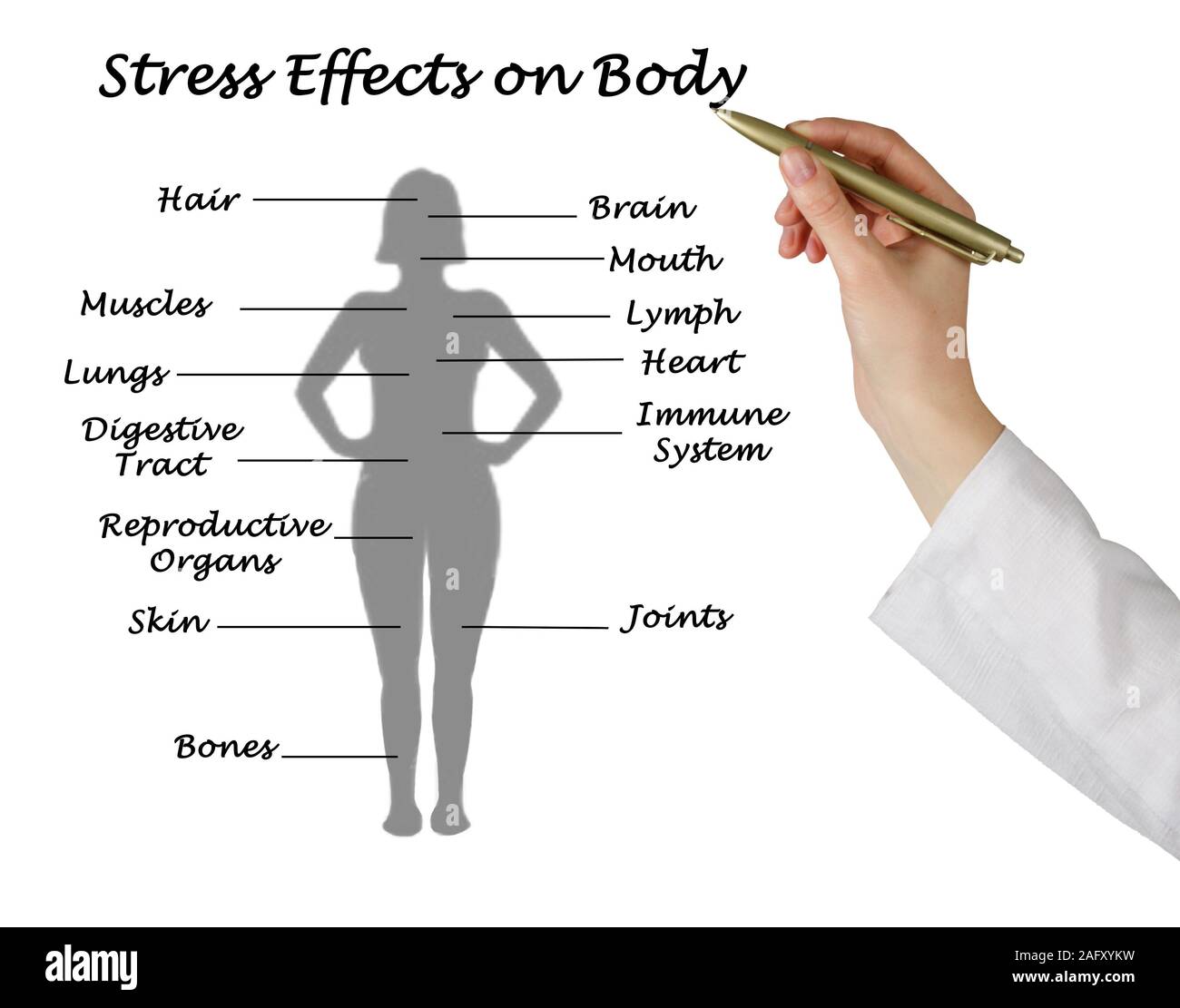 Stress Effects on Body Stock Photo - Alamy
