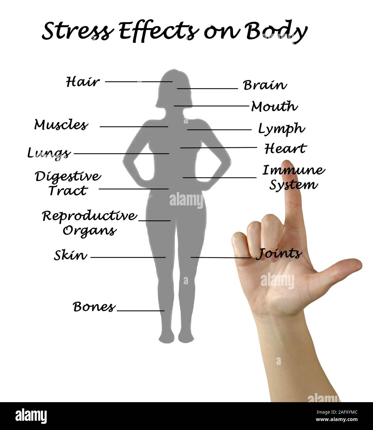 Stress Effects on Body Stock Photo - Alamy