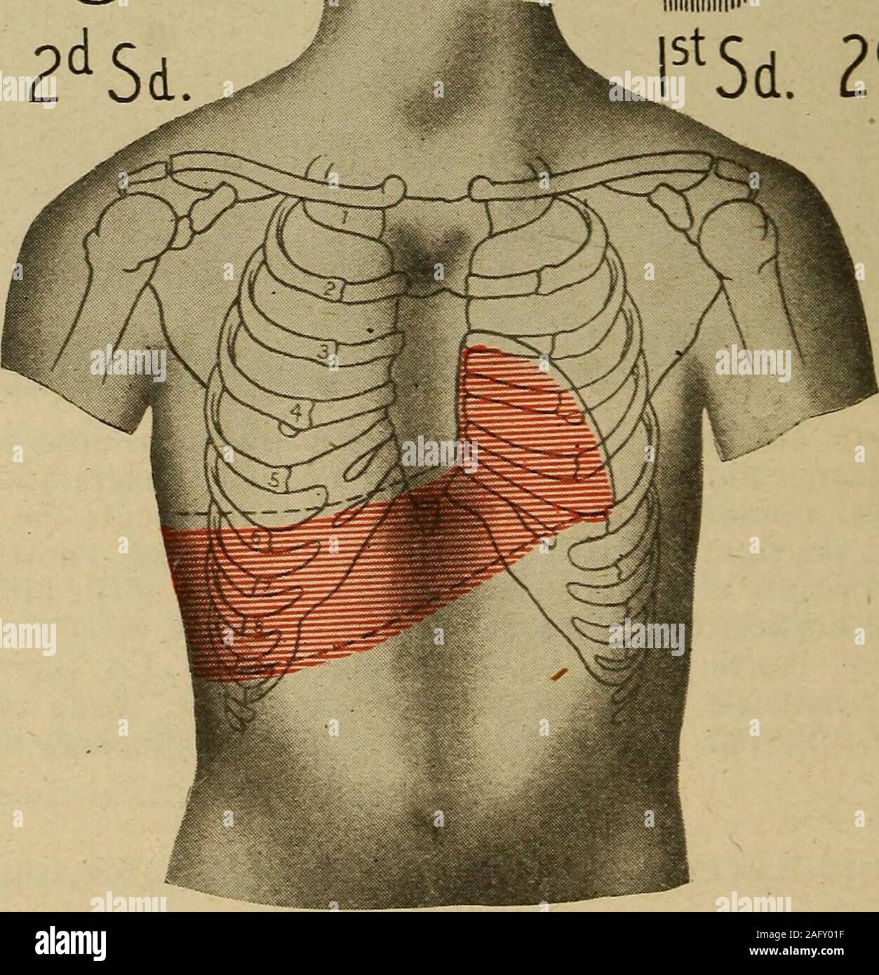. Medical diagnosis for the student and practitioner. Fig. 394 ...