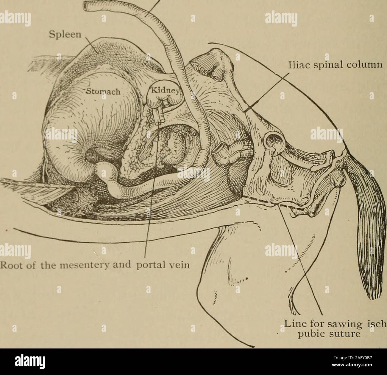 . Post-mortem pathology; a manual of post-mortem examinations and the ...