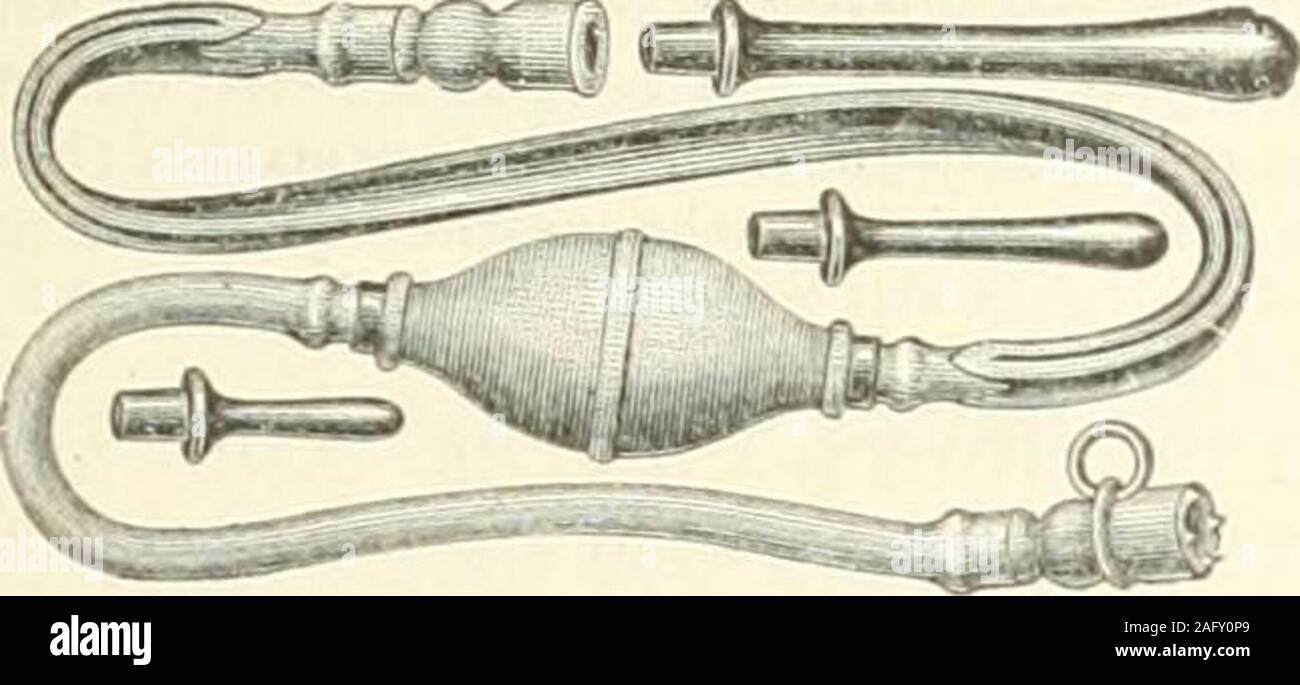 Nervous_system hi-res stock photography and images - Alamy