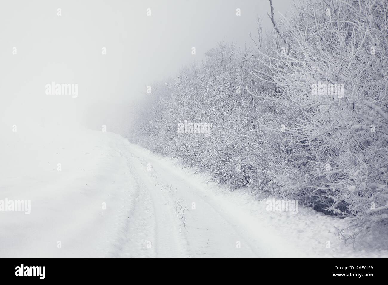 winter scenery with snowy blizzard Stock Photo - Alamy