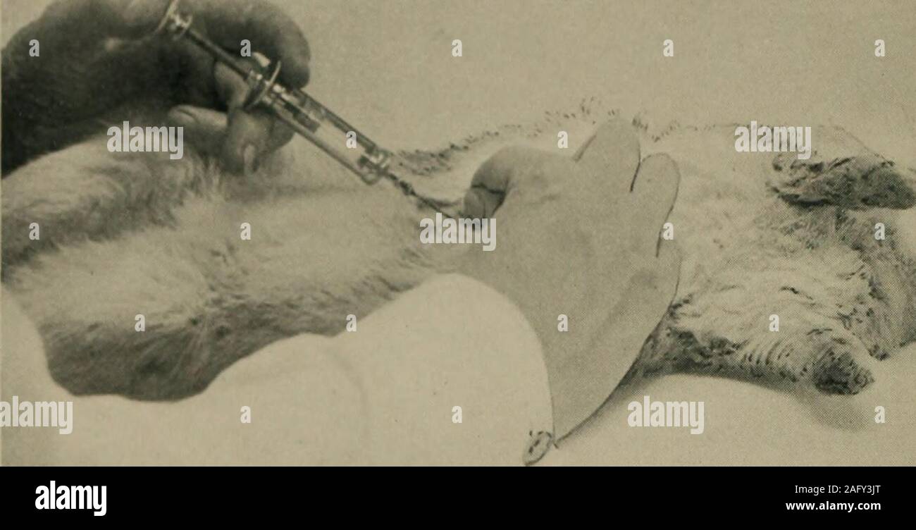 . Post-mortem pathology; a manual of post-mortem examinations and the ...