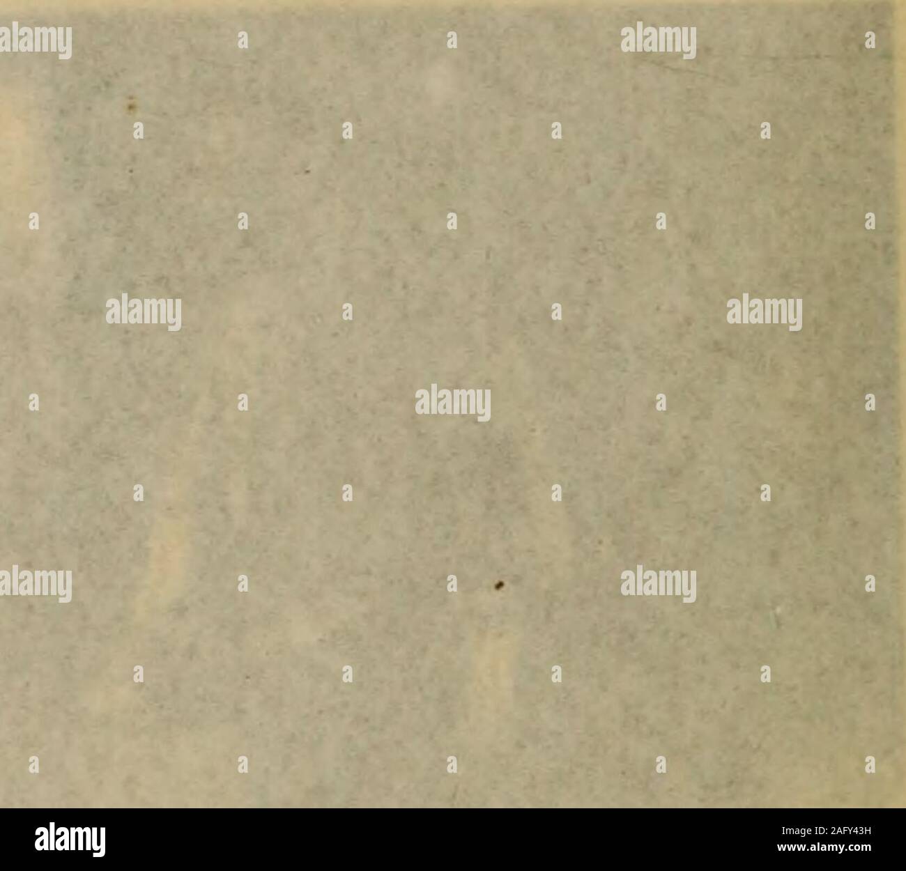 Fletcher methodist church hi-res stock photography and images - Alamy