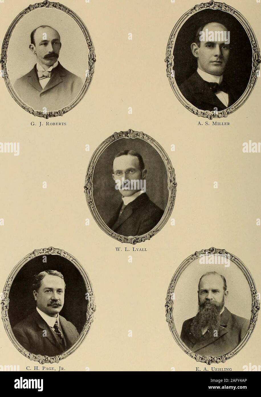 Harvey stevens hi-res stock photography and images - Alamy