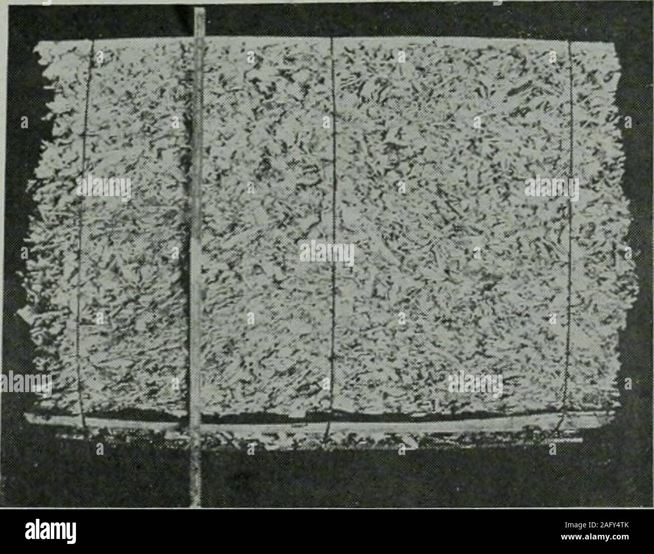 Pulp bales hi-res stock photography and images - Alamy