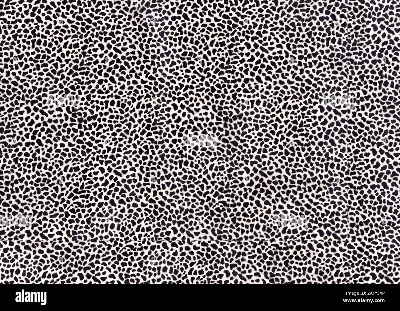 Short haired fur texture hi-res stock photography and images - Alamy