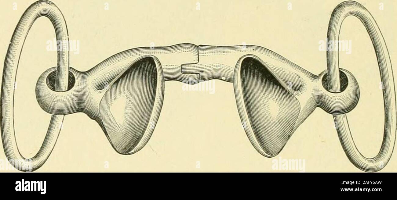 Standard forward bend hi-res stock photography and images - Alamy