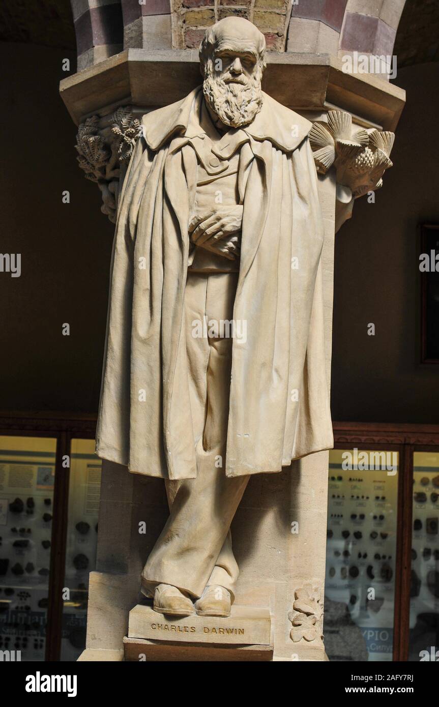 Charles Darwin statue Stock Photo - Alamy