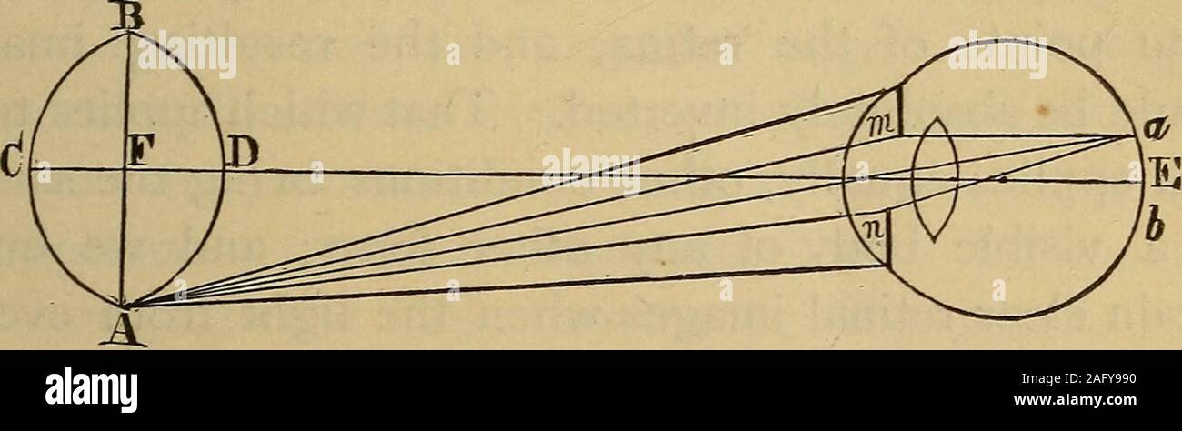 The vision retina inverted hi-res stock photography and images - Alamy