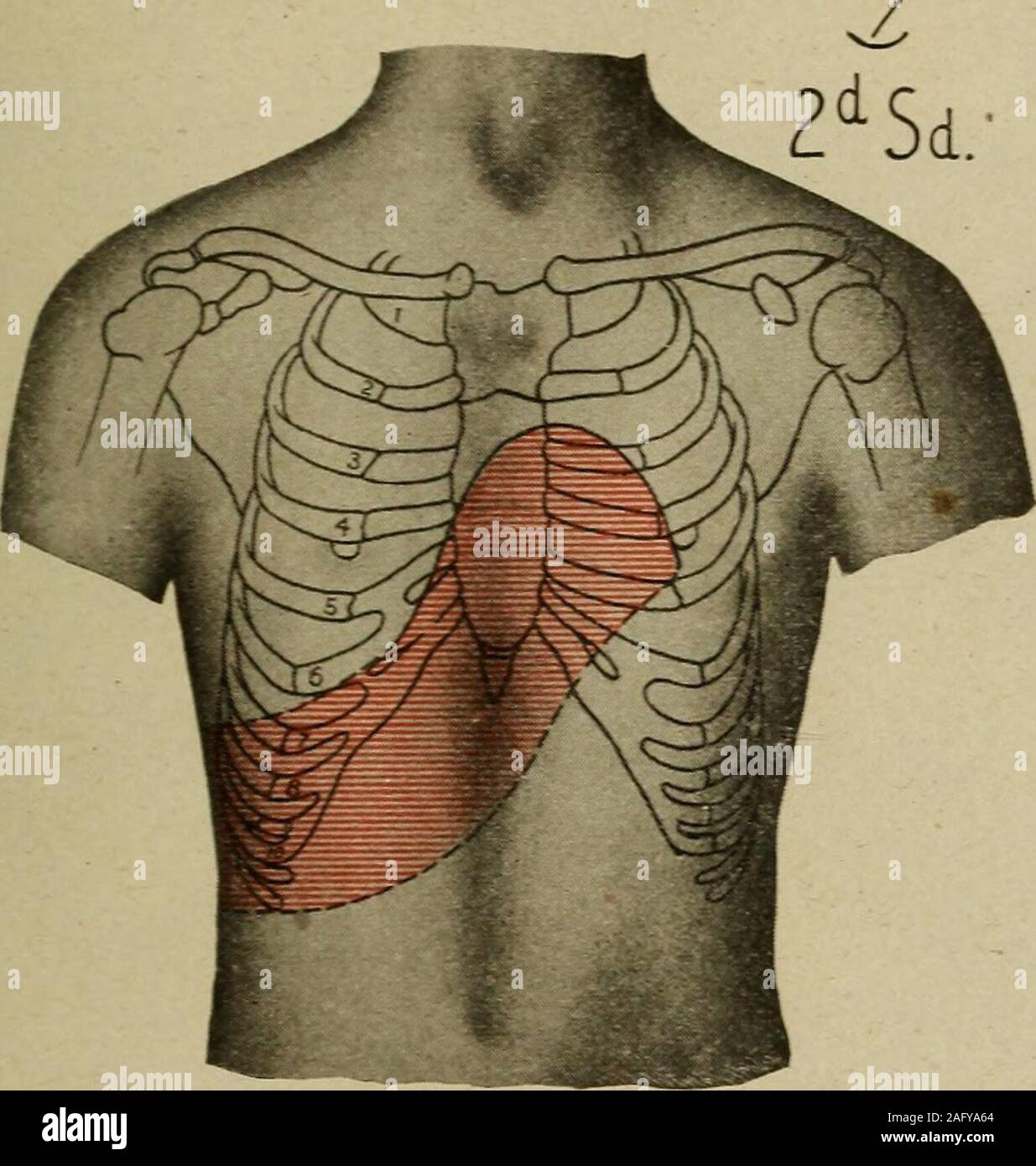. Medical diagnosis for the student and practitioner. e must be ...