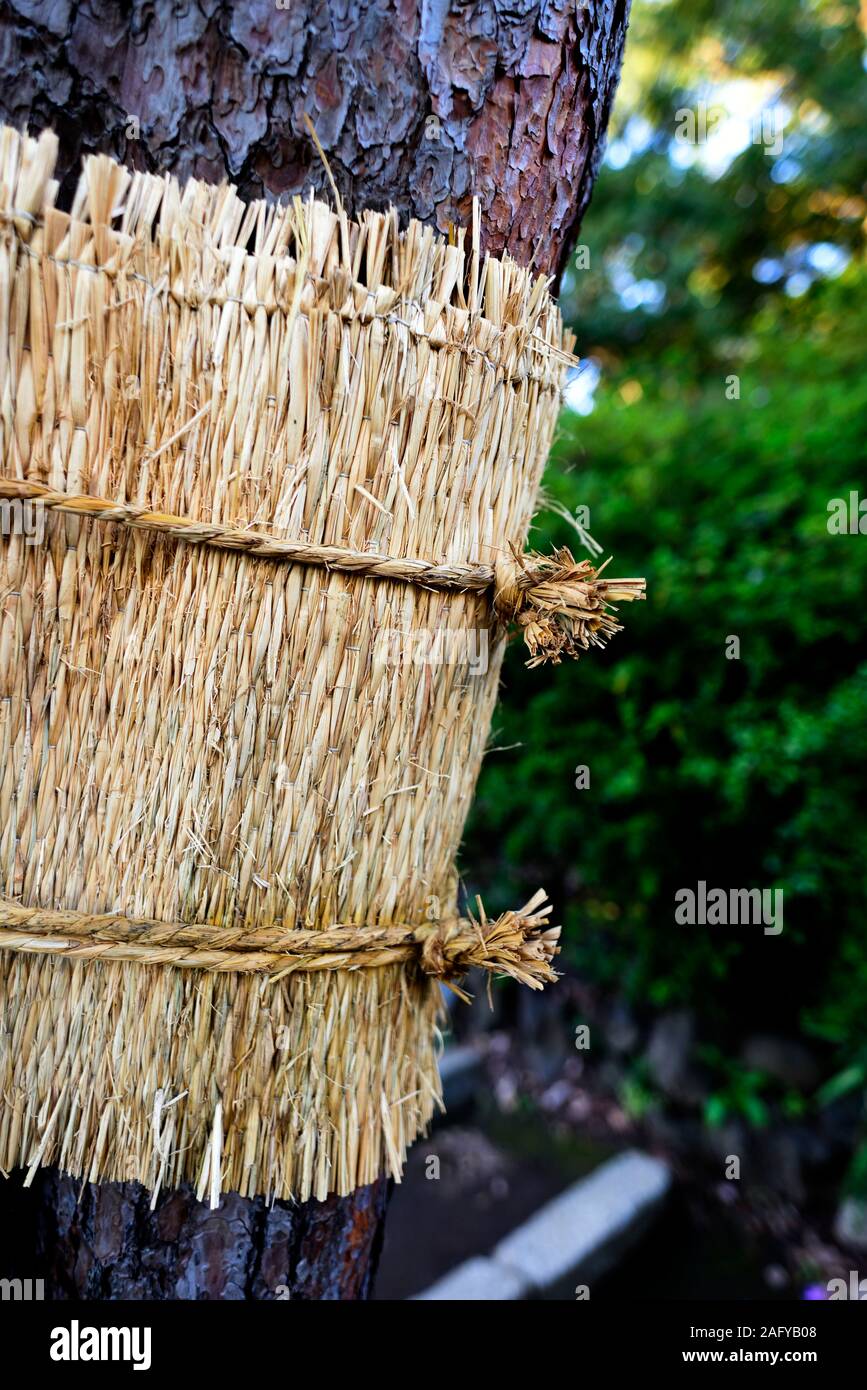 Safely wrapped hi-res stock photography and images - Alamy