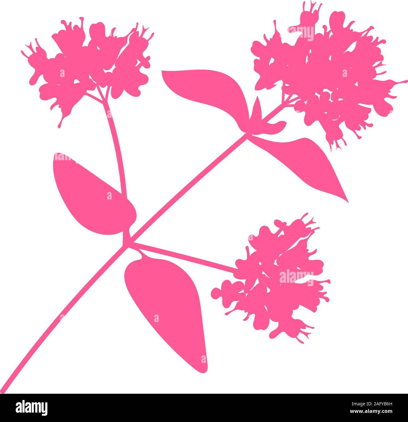 Oregano plant icon isolated on white background flat vector Stock ...