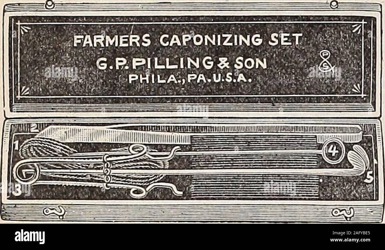 Poxes hi-res stock photography and images - Alamy