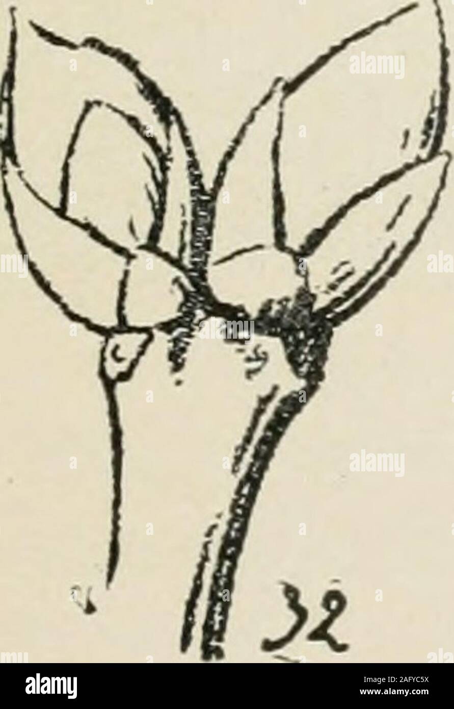 Todraw hi-res stock photography and images - Alamy