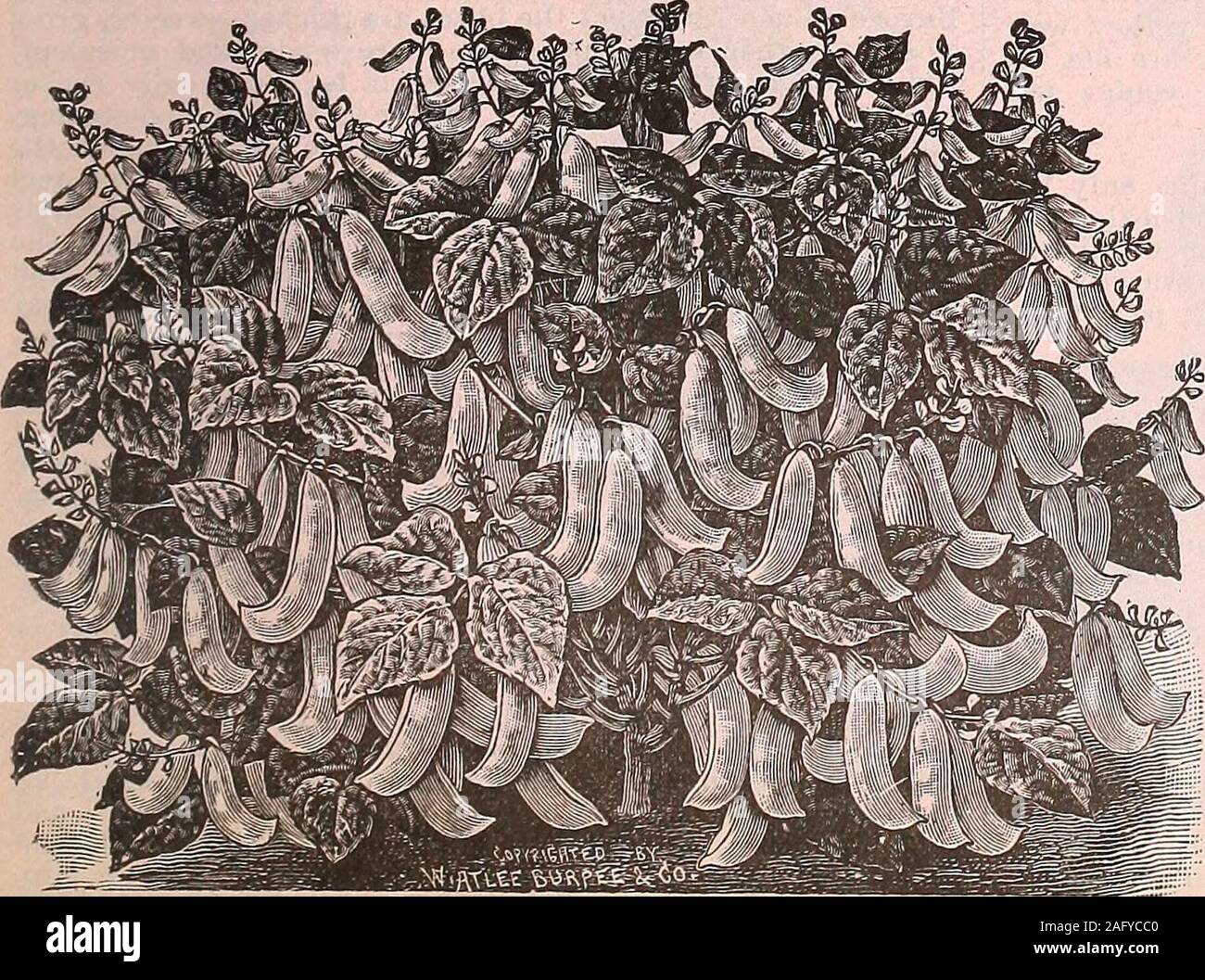 J h bean hi-res stock photography and images - Alamy